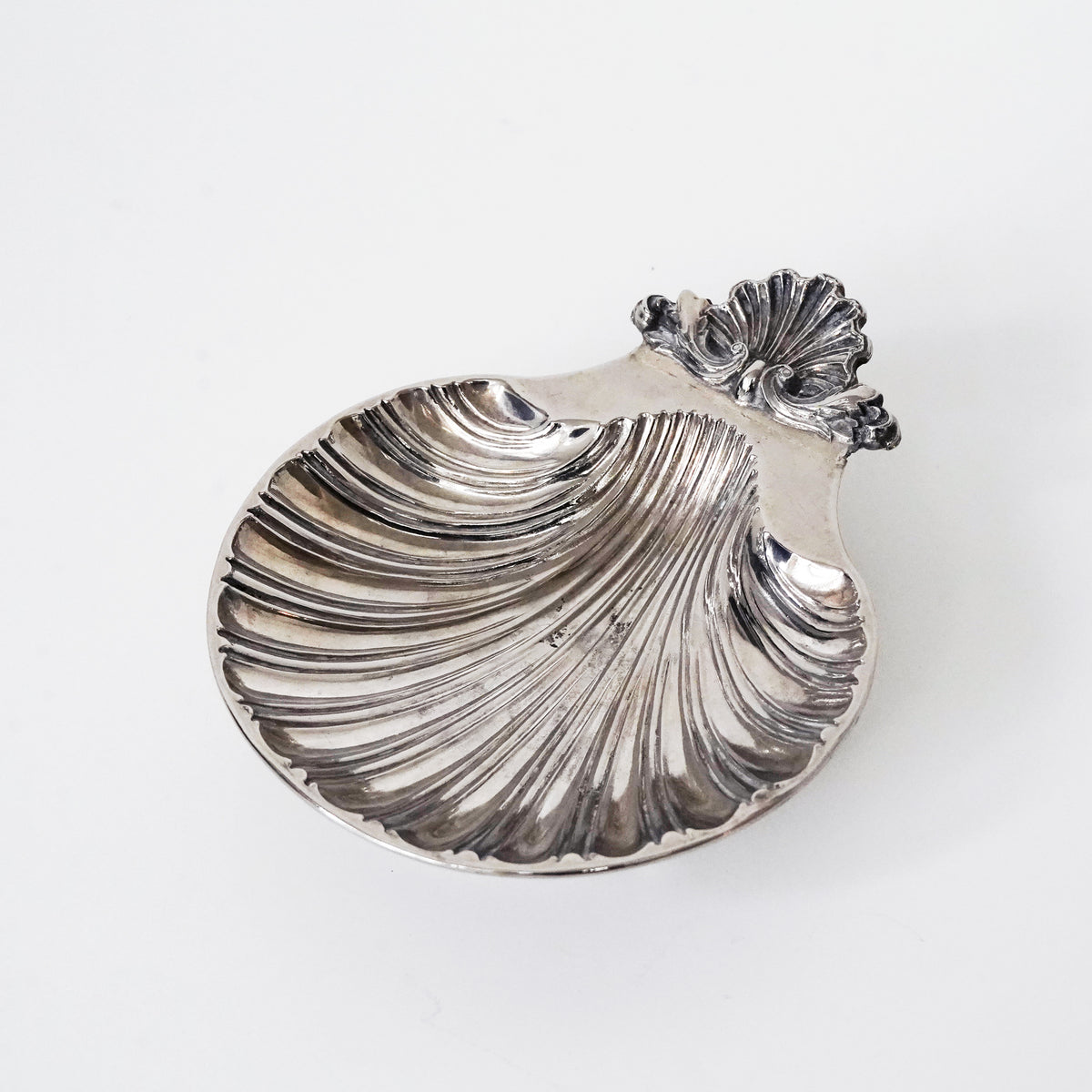 Clam Shell Silver Plate / 英国製 貝殻型 シルバープレート – thepostoffice.jp
